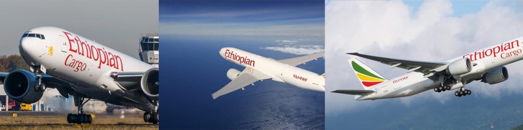 Ethiopian Airlines Cargo Tracking, Shipping & Contact Info